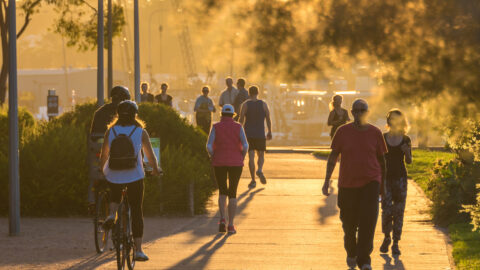 TfNSW Active Transport Strategy - Amber Organisation